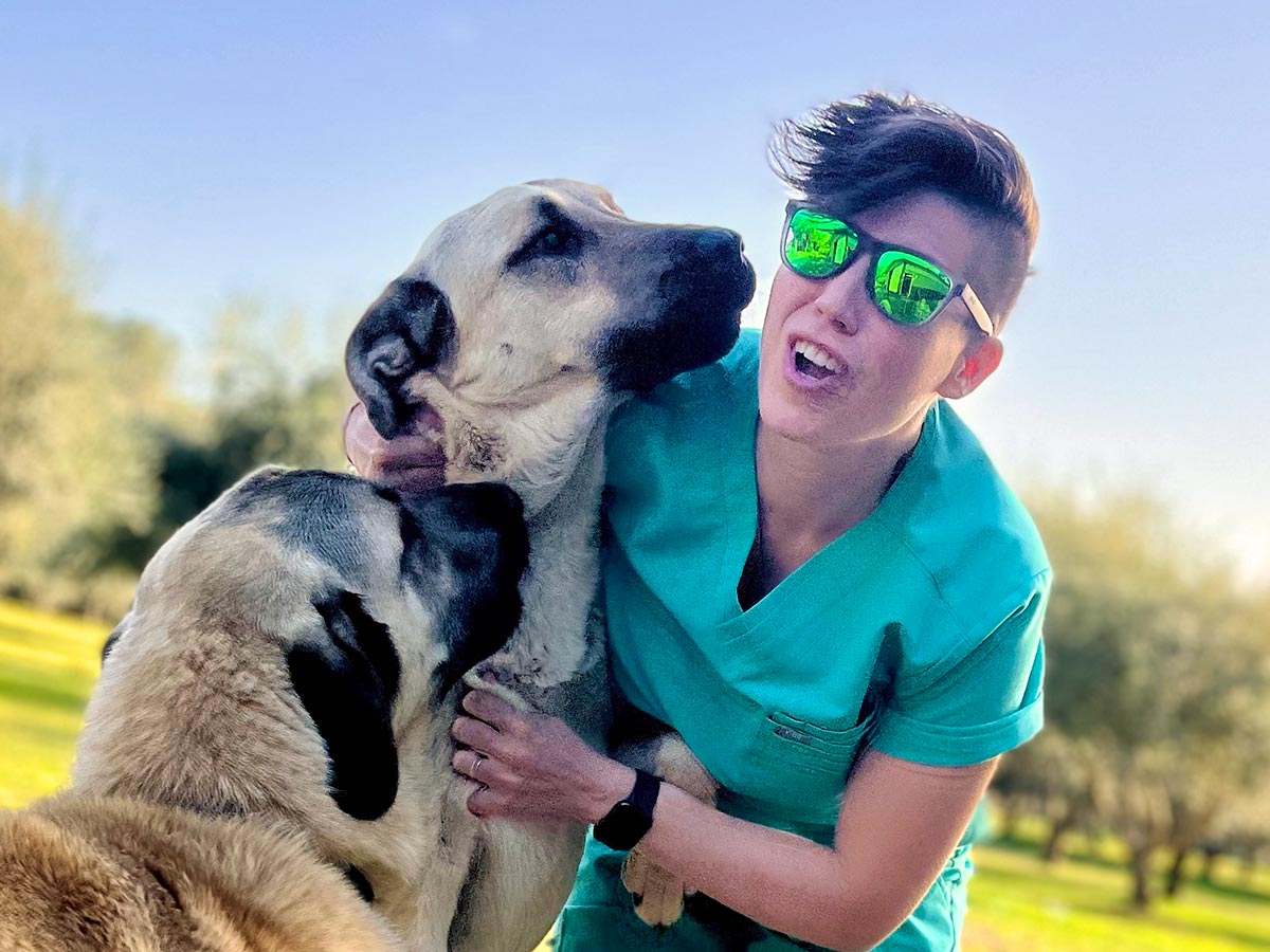 About 4 Paws Veterinary Group | Vet Clinic In Angels Camp CA