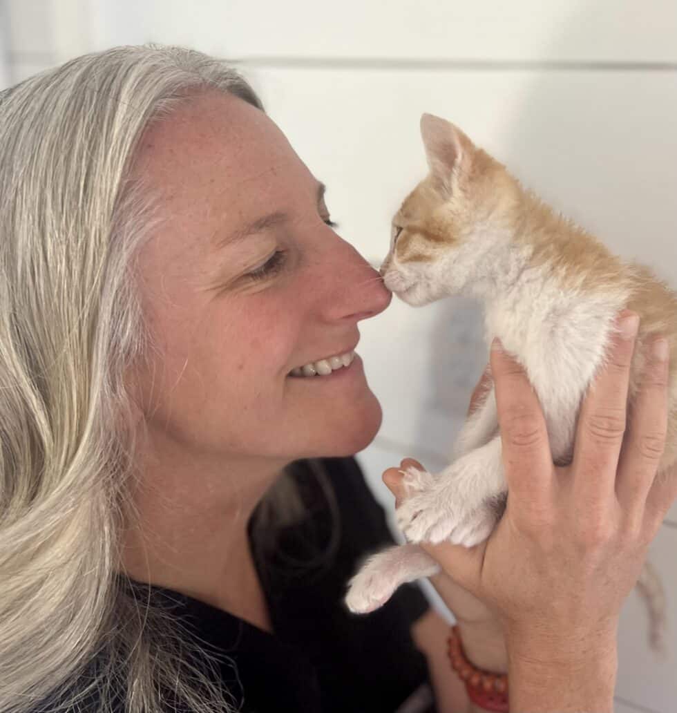 Best Vet Hospital In Angels Camp, CA | 4 Paws Vet Group